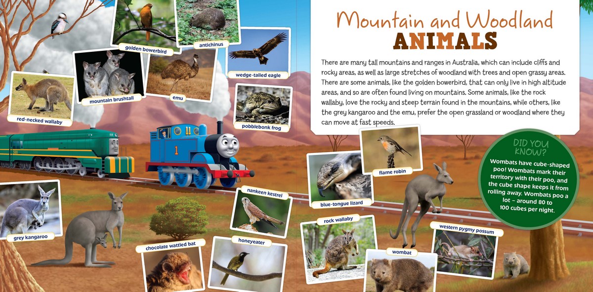 The Big Book of Australian Animals, Thomas and Friends by Thomas ...