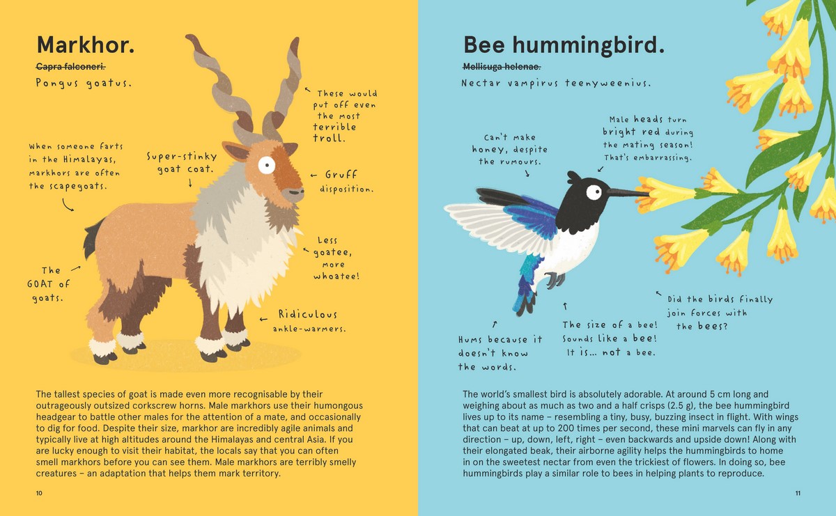 The World's Most Ridiculous Animals, CBCA Notable Book by Philip ...