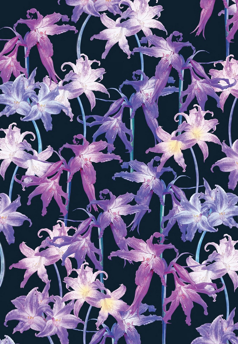 Posy by Adriana Picker: A Wrapping Paper Book, All Wrapped Up by ...