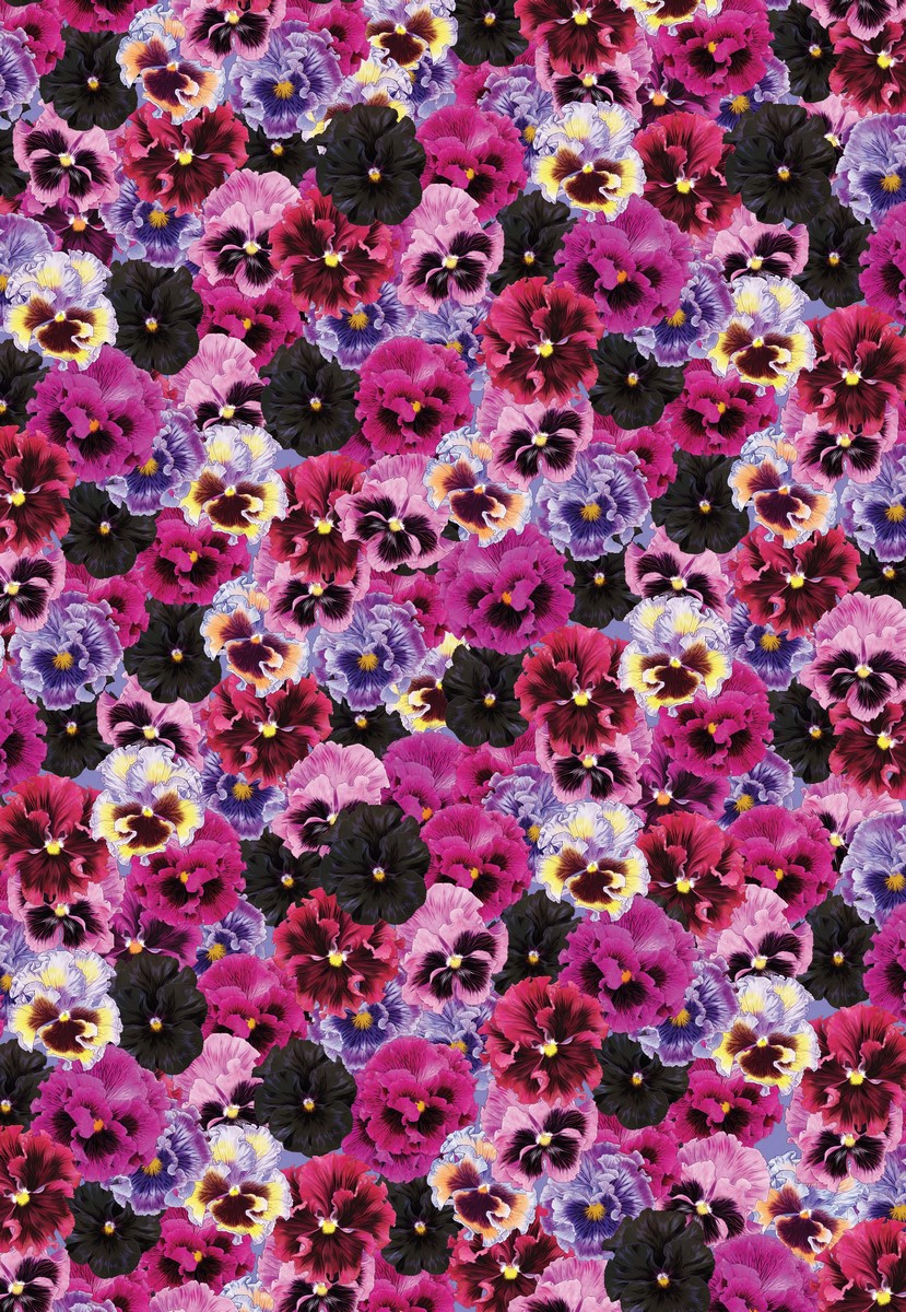 Posy by Adriana Picker: A Wrapping Paper Book, All Wrapped Up by ...