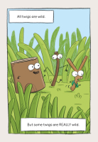 Hello Twigs, Surprise! by Andrew McDonald | 9781761211980 | Booktopia