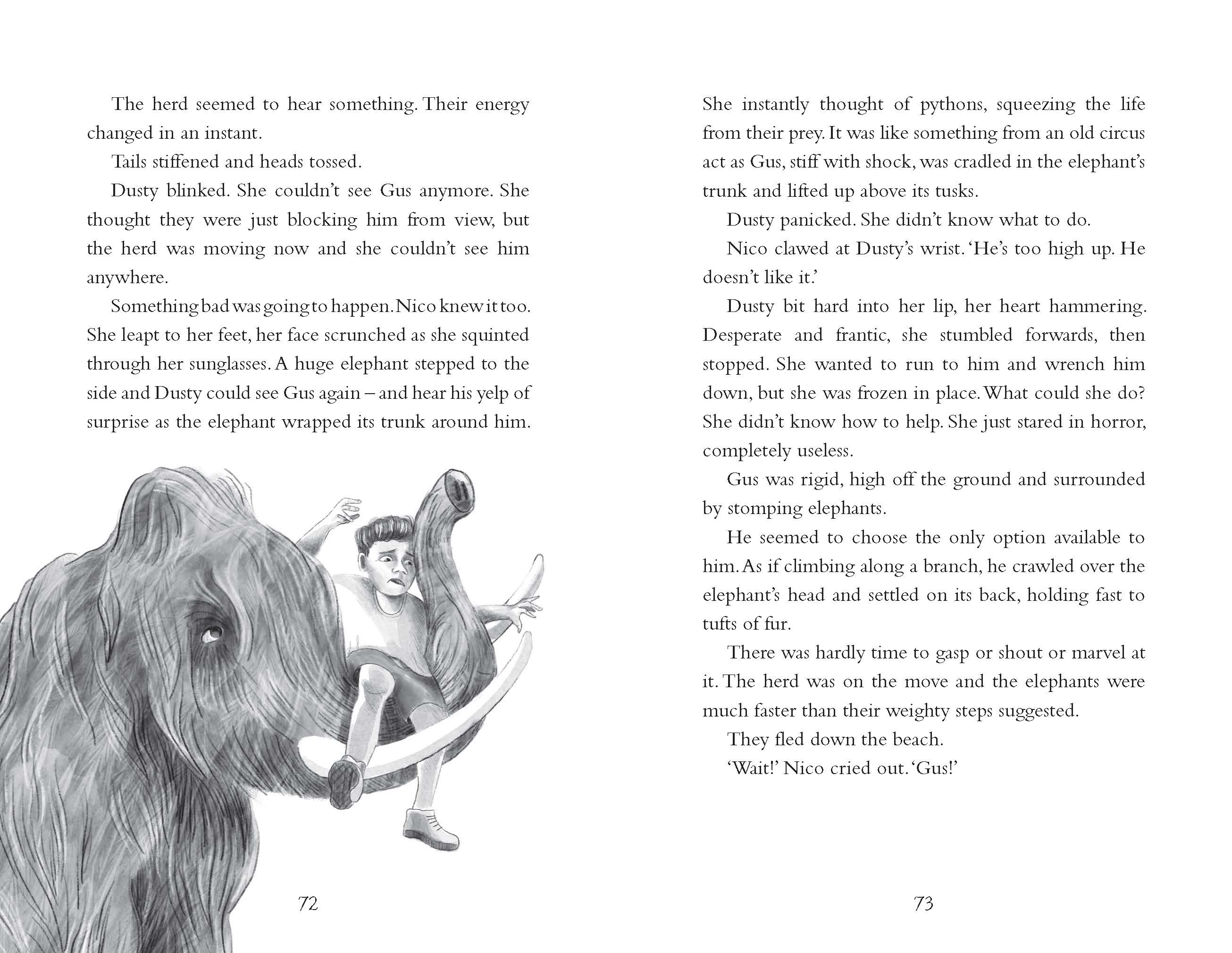 Dusty in the Outwilds, CBCA Notable Book by Rhiannon Williams ...