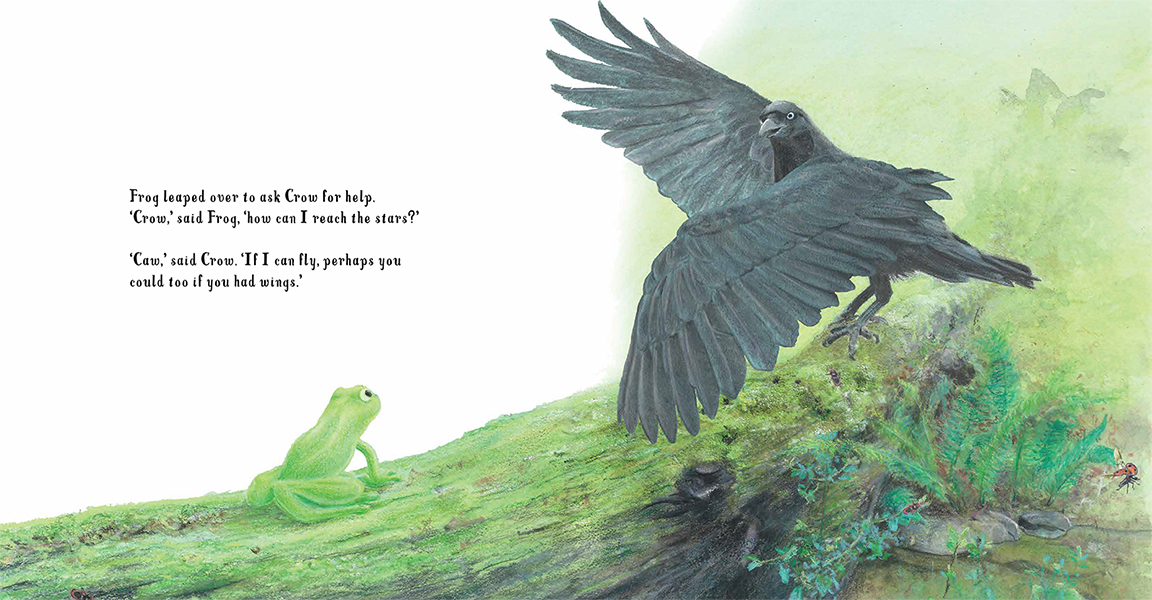 Frog Finds a Place by Sally Morgan | 9781761291722 | Booktopia