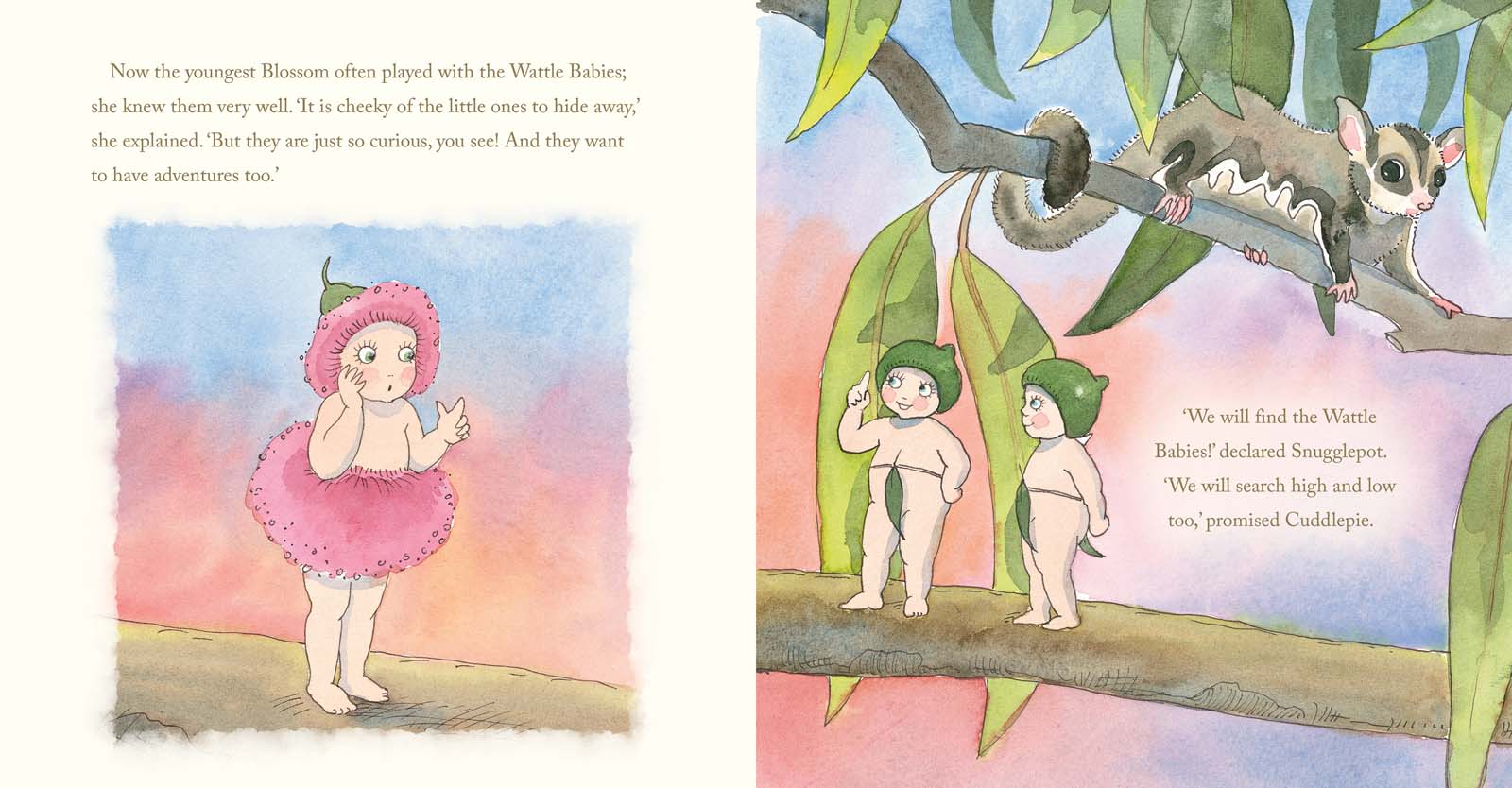 Snugglepot & Cuddlepie meet the Bush Babies, May Gibbs by May Gibbs ...