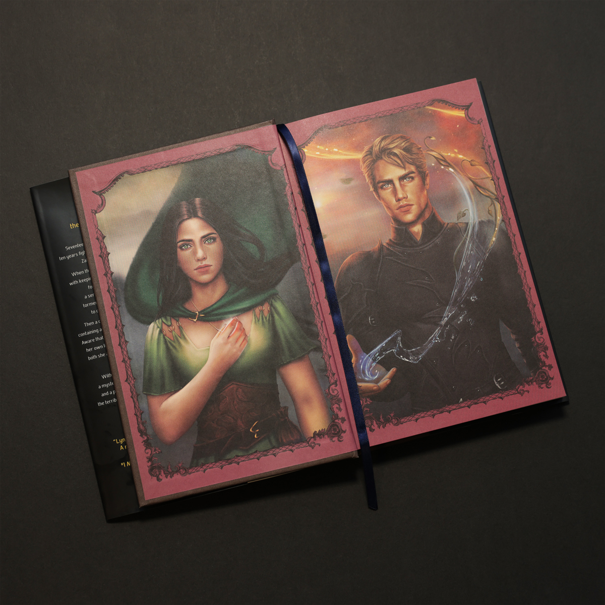 The Prison Healer Limited Collector's Edition, Exclusive to Booktopia ...