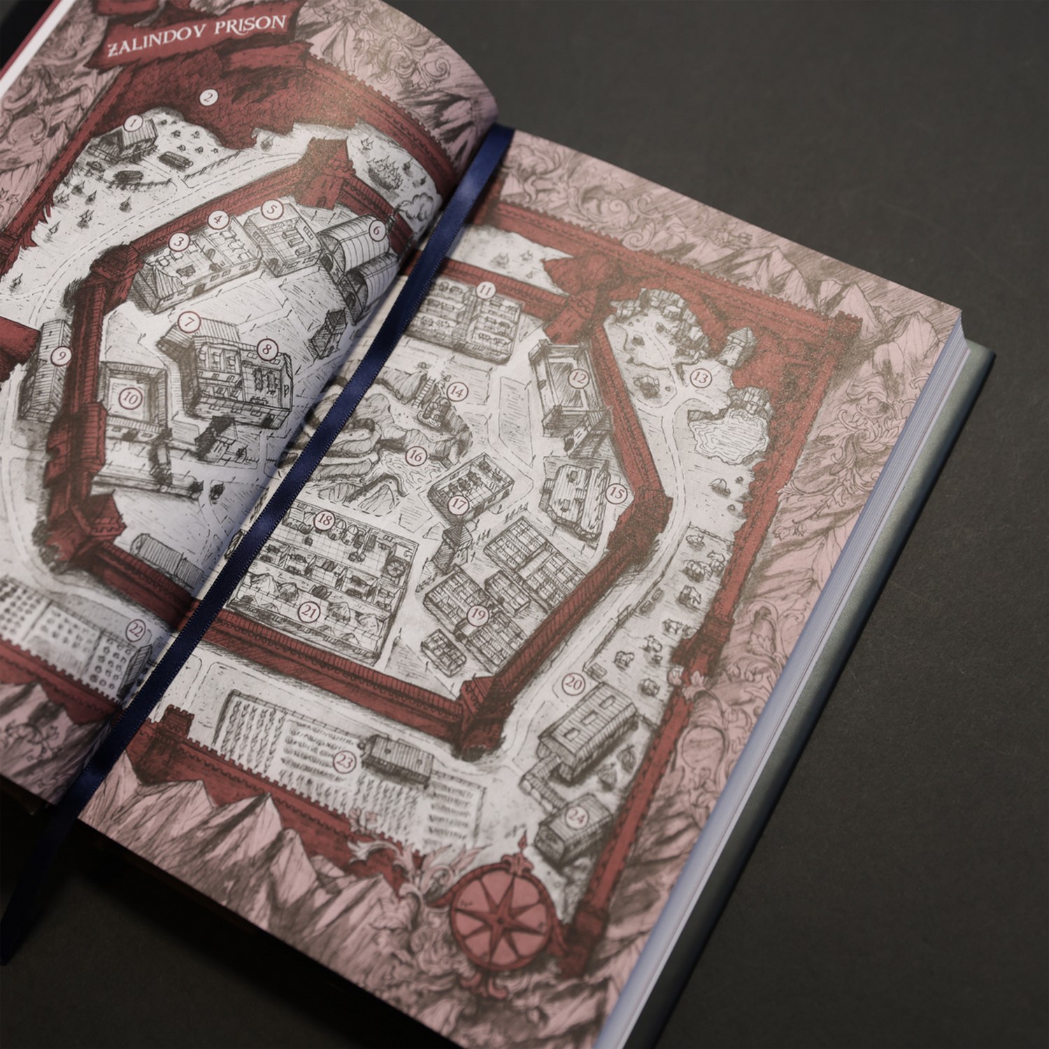 The Prison Healer Limited Collector's Edition, Exclusive to Booktopia ...