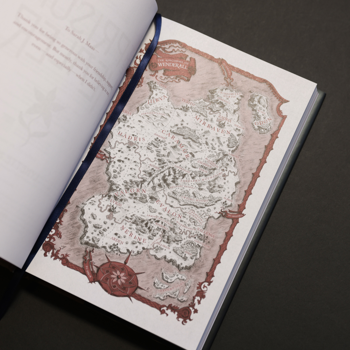 The Prison Healer Limited Collector's Edition, Exclusive to Booktopia ...