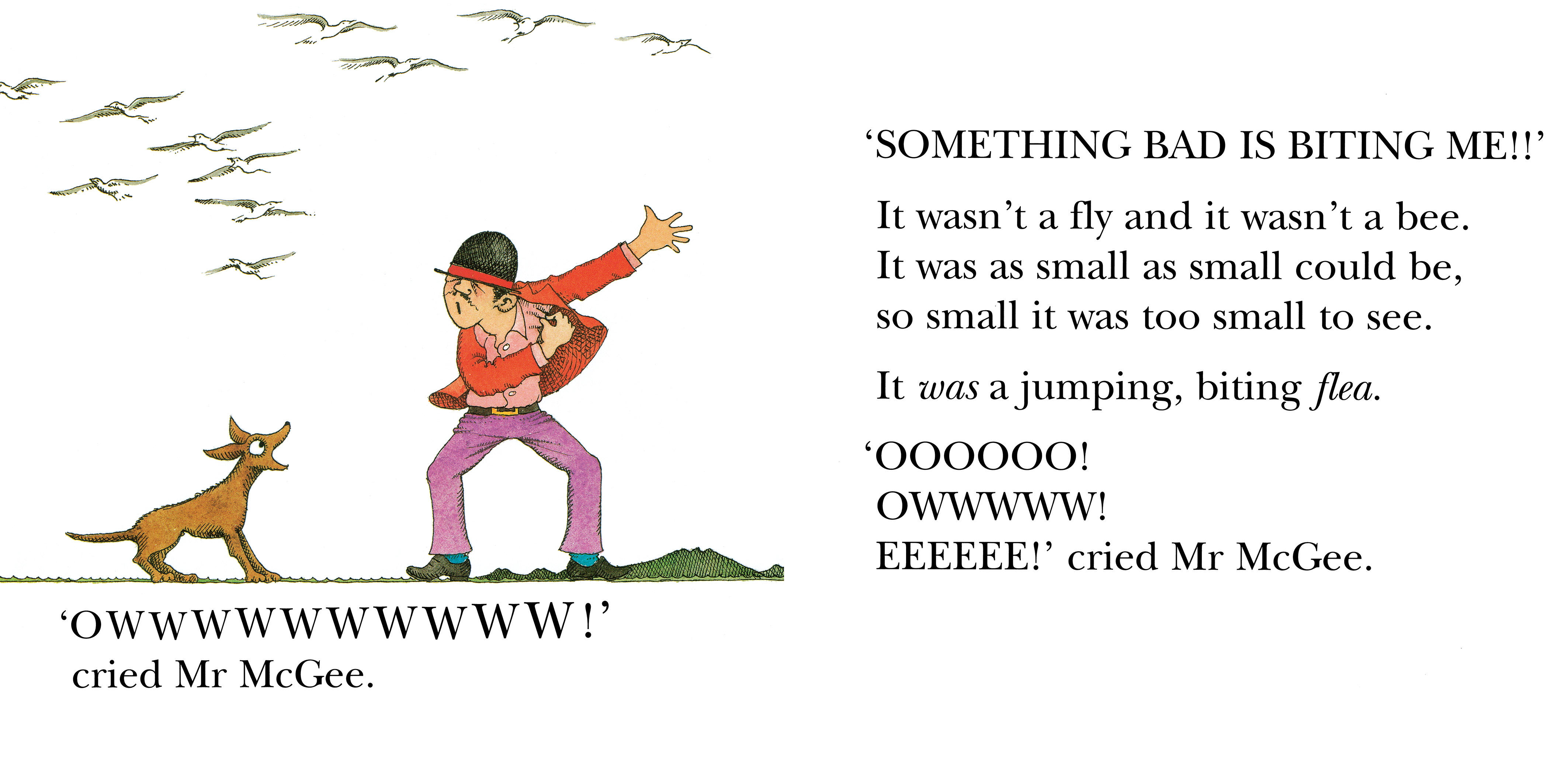 Mr McGee & the Biting Flea by Pamela Allen | 9781761340970 | Booktopia