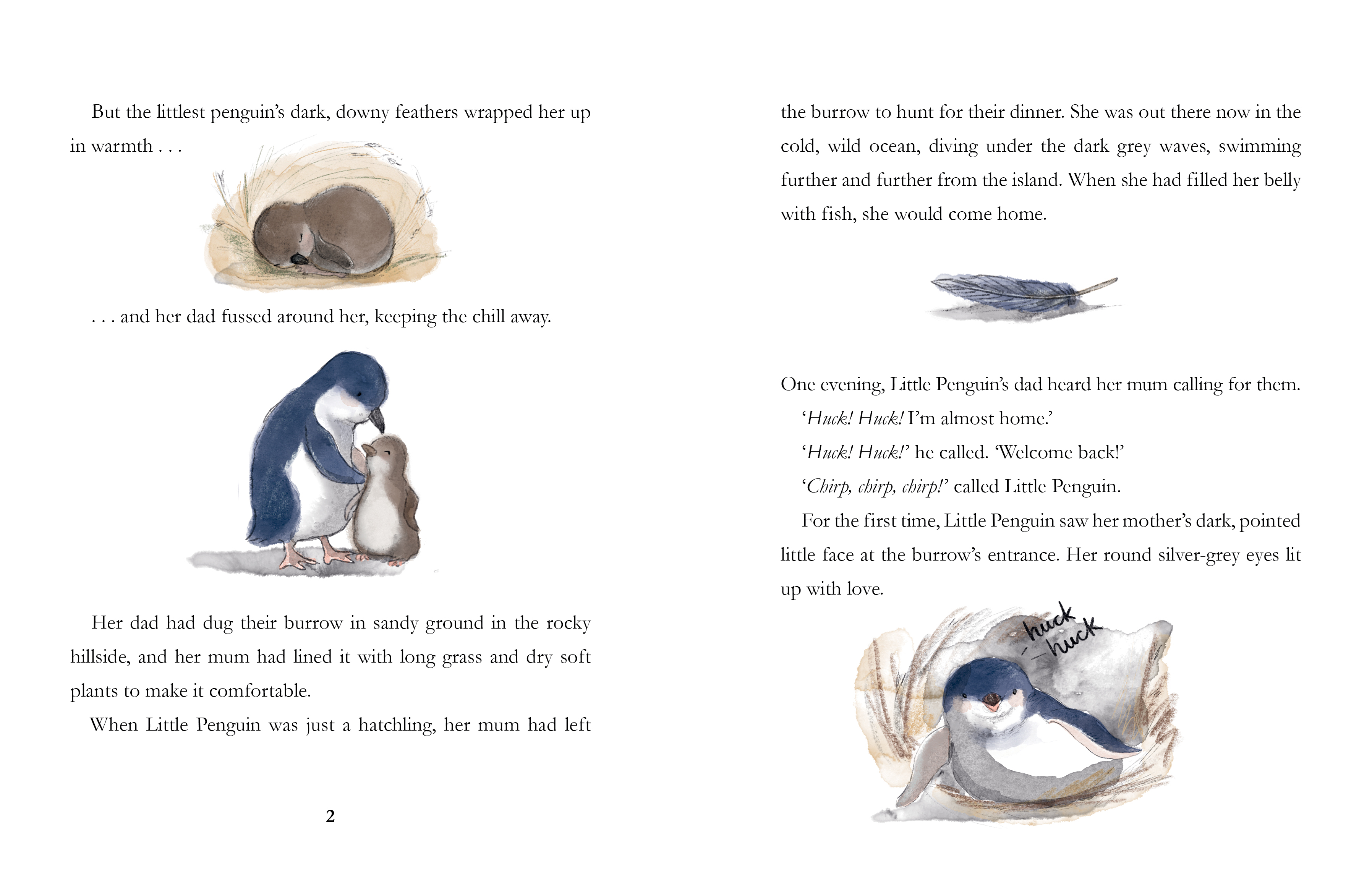 The Littlest Penguin, and the Phillip Island Penguin Parade by The ...