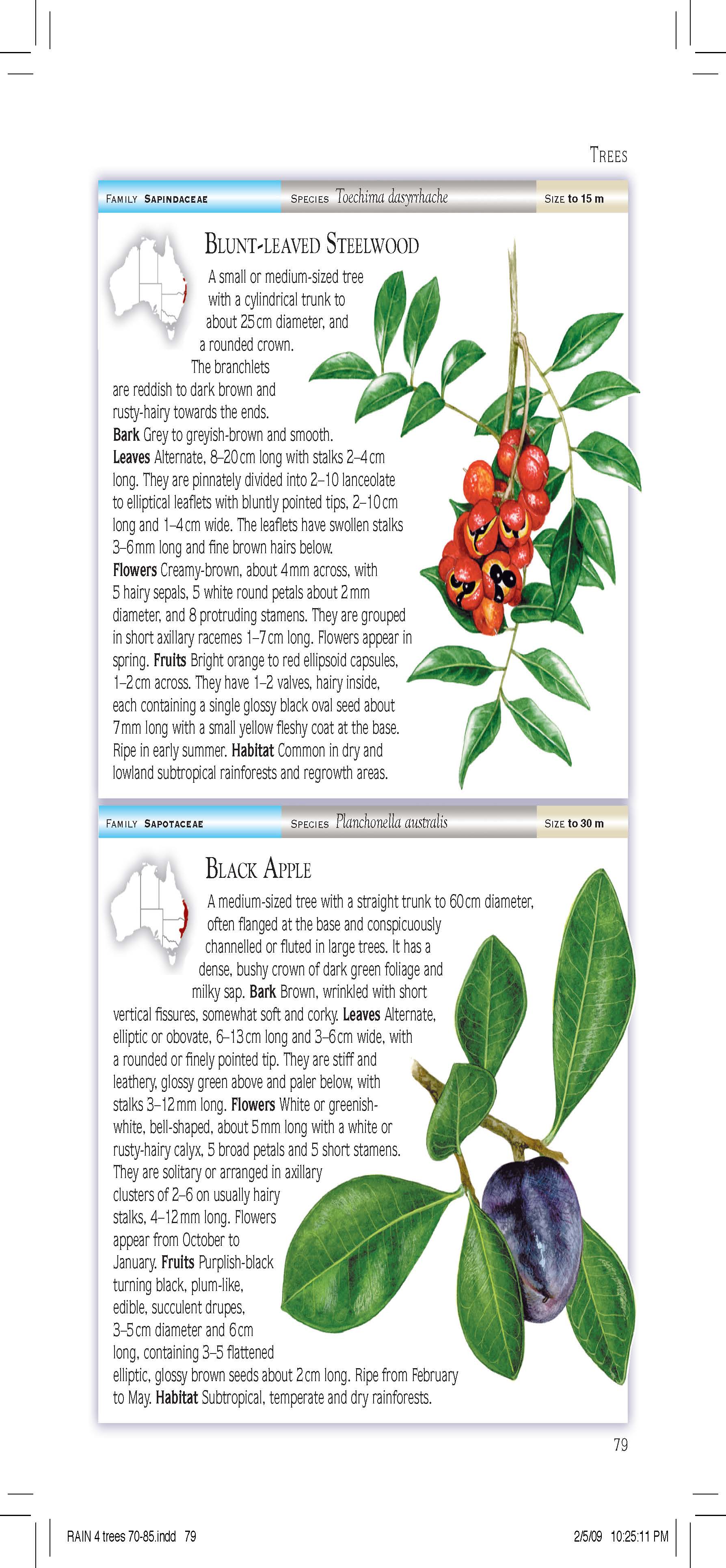 Cronin's Key Guide to Australian Rainforest Plants by Leonard Cronin ...