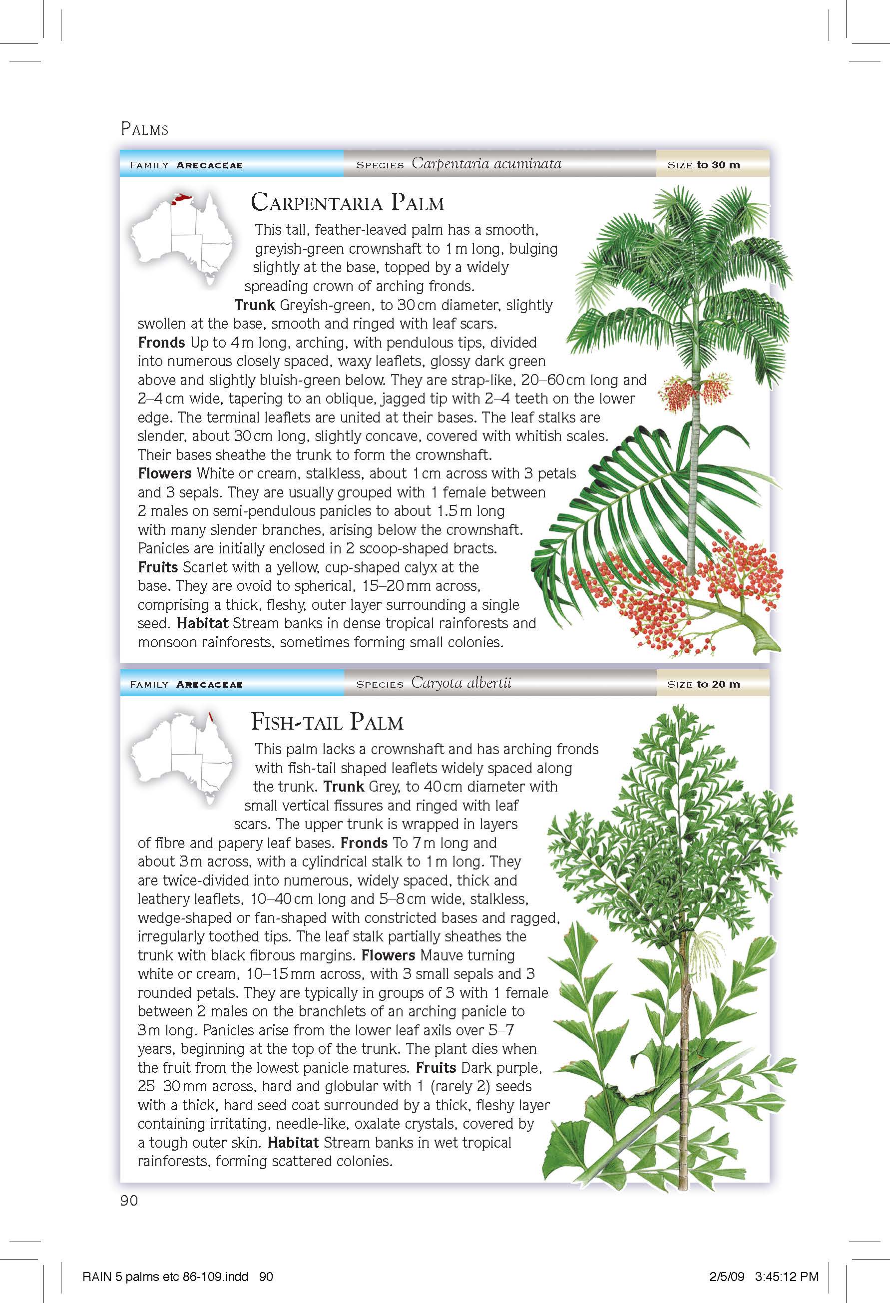 Cronin's Key Guide to Australian Rainforest Plants by Leonard Cronin ...