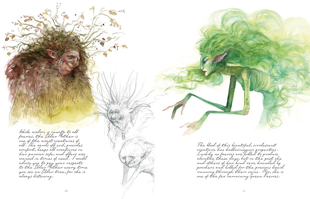 Faeries of the Faultlines, Expanded, Edited Edition by Iris Compiet ...