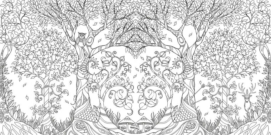 Enchanted Forest, An Inky Quest & Colouring Book by Johanna Basford ...