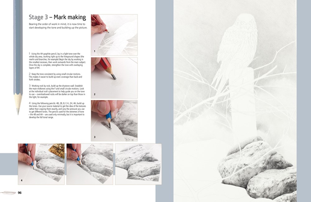 Bird Art, Drawing Birds Using Graphite & Coloured Pencils by Alan ...