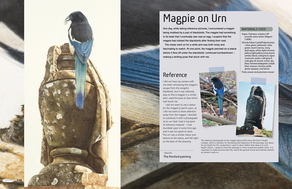 Bird Art, Drawing Birds Using Graphite & Coloured Pencils by Alan ...