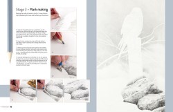 Bird Art by Alan Woollett | Drawing Birds Using Graphite & Coloured ...