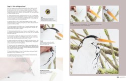 Bird Art by Alan Woollett | Drawing Birds Using Graphite & Coloured ...