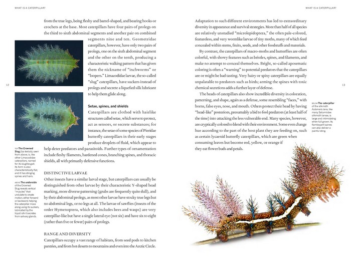 The Book of Caterpillars, A life-size guide to six hundred species from ...