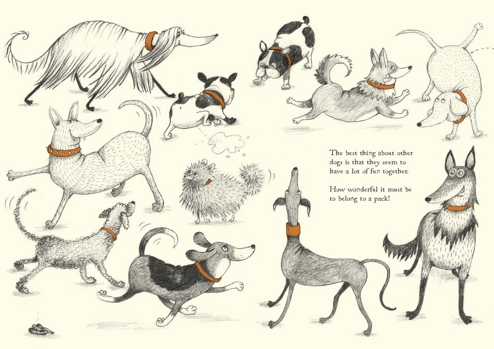 A Pack of Your Own by Maria Nilsson Thore | 9781782693581 | Booktopia