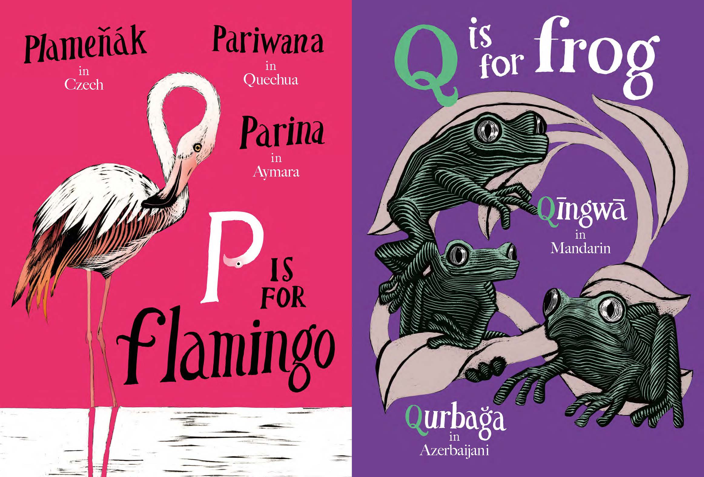 A is for Bee by Ellen Heck | 9781782693628 | Booktopia