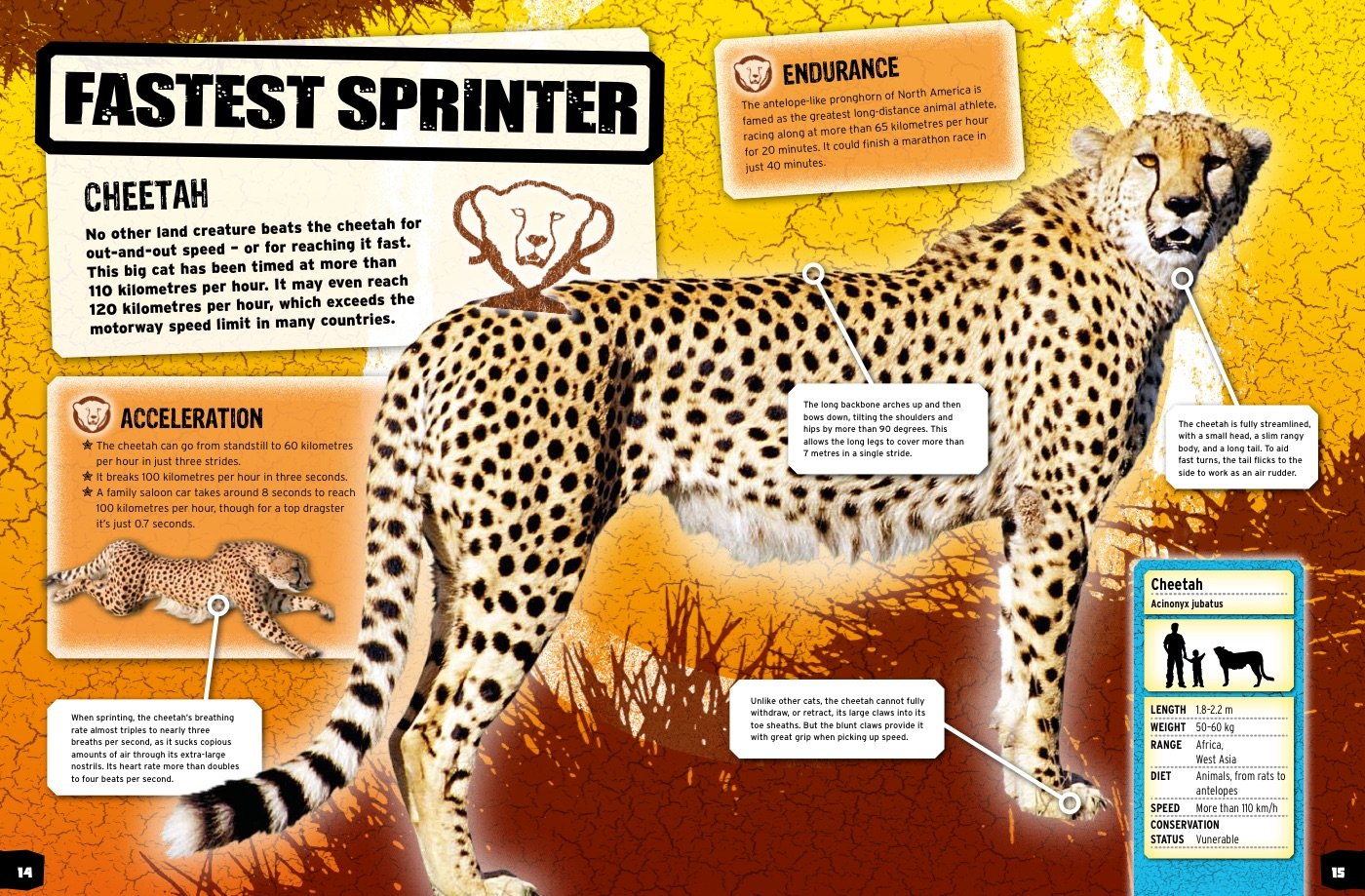 Animal Record Breakers, Fastest! Strongest! Deadliest! by Steve Parker ...