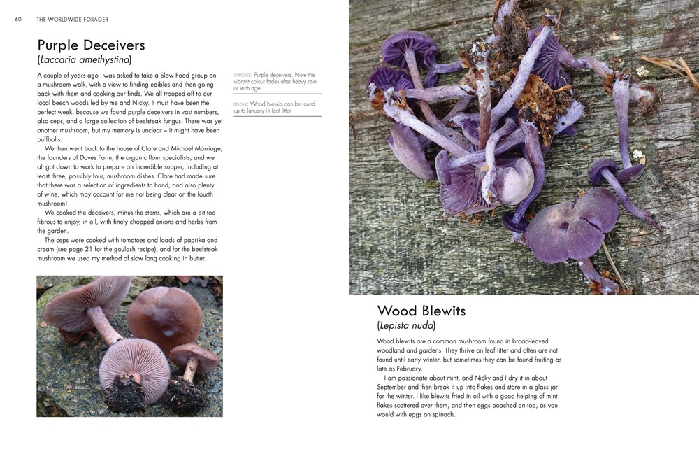 The Worldwide Forager by Roger Phillips | 9781783528820 | Booktopia