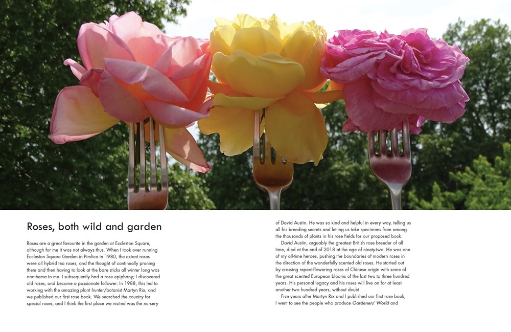 The Worldwide Forager by Roger Phillips | 9781783528820 | Booktopia