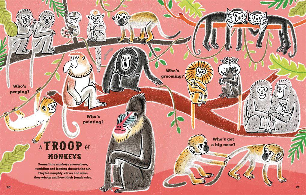 A Pandemonium of Parrots, And other animals by Kate Baker ...