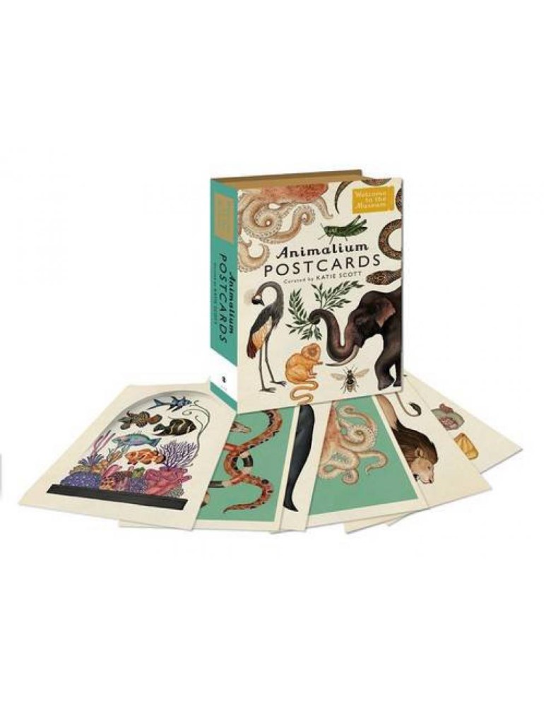 Animalium Postcards, 50 Postcards by Katie Scott | 9781783706259 ...