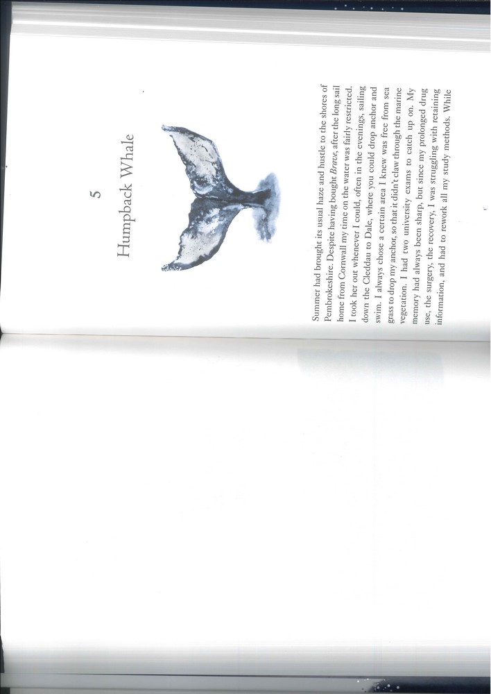 Move Like Water by Hannah Stowe | A Story of the Sea and its Creatures ...