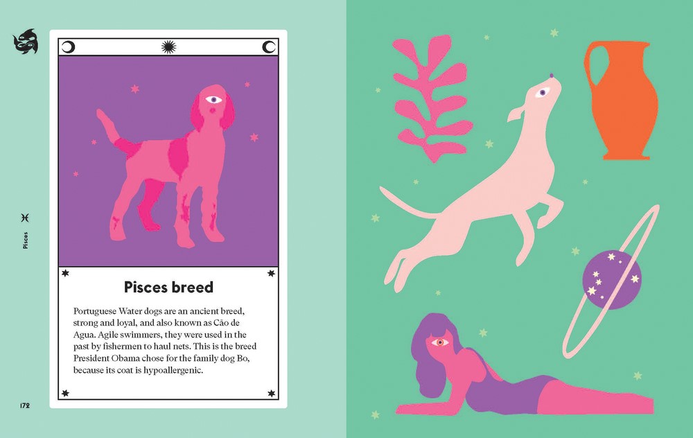 The 12 zodiac signs as popular dog breeds 60 photos - Astrologytoyou.com
