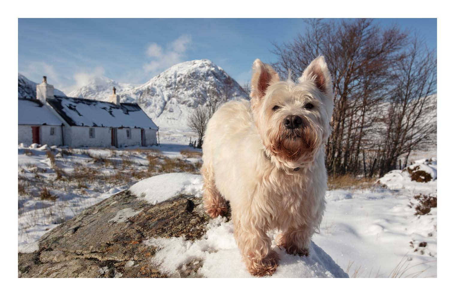 The Hebridean Baker, My Scottish Island Kitchen by Coinneach MacLeod ...