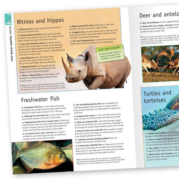 6000 Amazing Facts by Miles Kelly | 9781786173300 | Booktopia