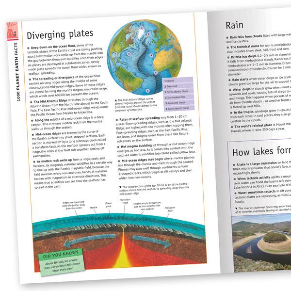 6000 Amazing Facts by Miles Kelly | 9781786173300 | Booktopia