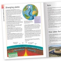 6000 Amazing Facts by Miles Kelly | 9781786173300 | Booktopia