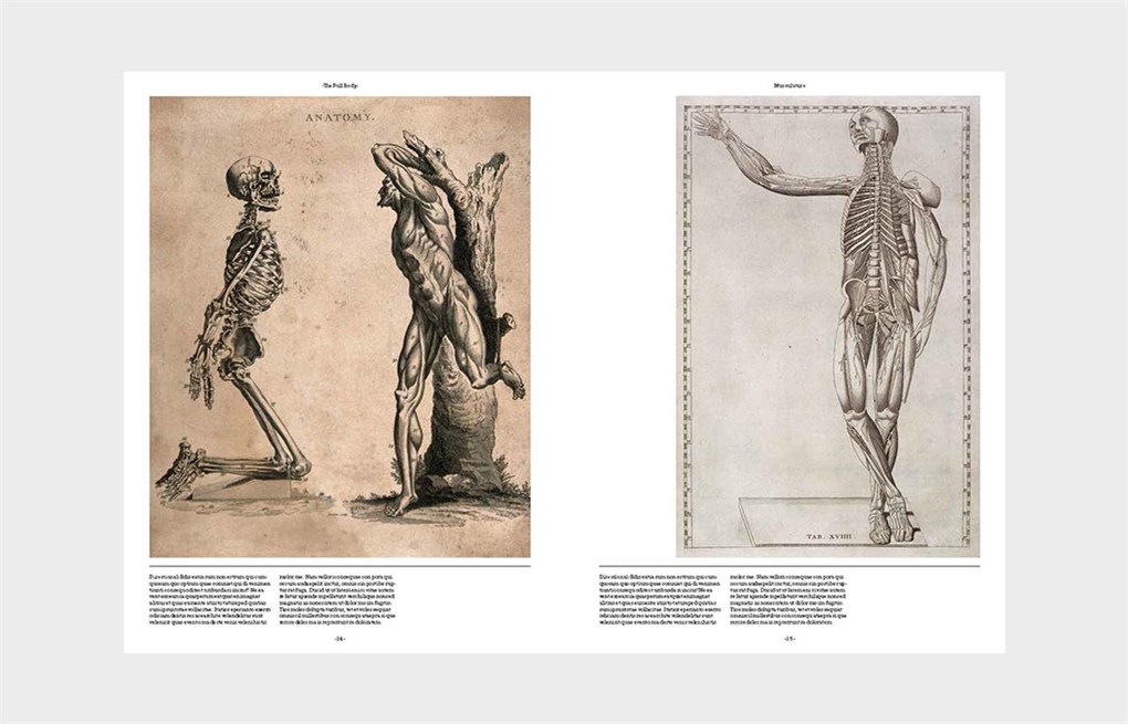 Anatomica by Joanna Ebenstein | Exquisite and Unsettling Art of Human Anatomy | 9781786275714 ...
