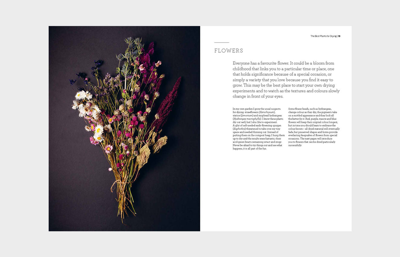 Cut & Dry, The Modern Guide to Dried Flowers from Growing to Styling by ...