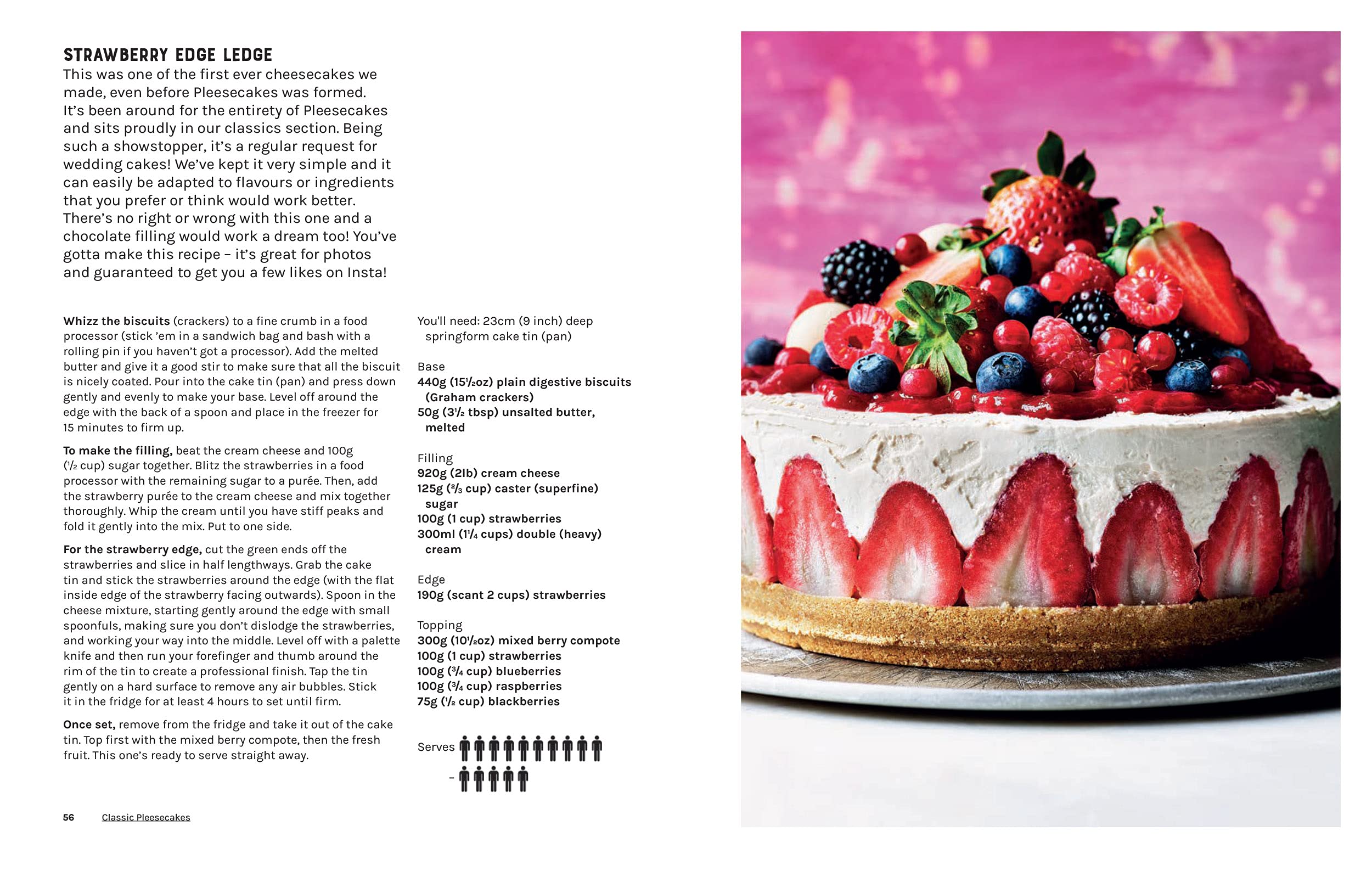 Pleesecakes, 60 Awesome No-Bake Cheesecake Recipes by Joe Moruzzi ...