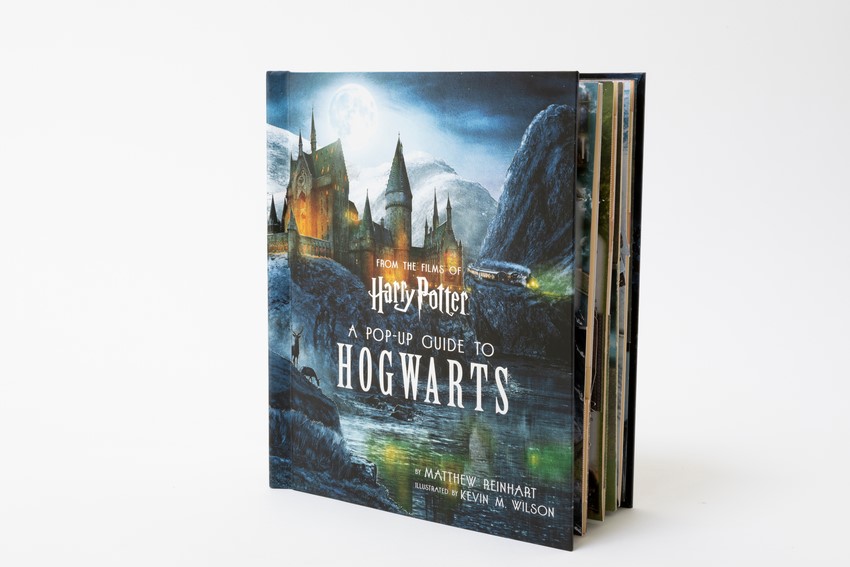 Harry Potter, A Pop-Up Guide to Hogwarts by Matthew Reinhart ...