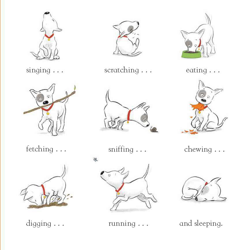 Ruffles and the Teeny Tiny Kittens by David Melling | 9781788009911 ...