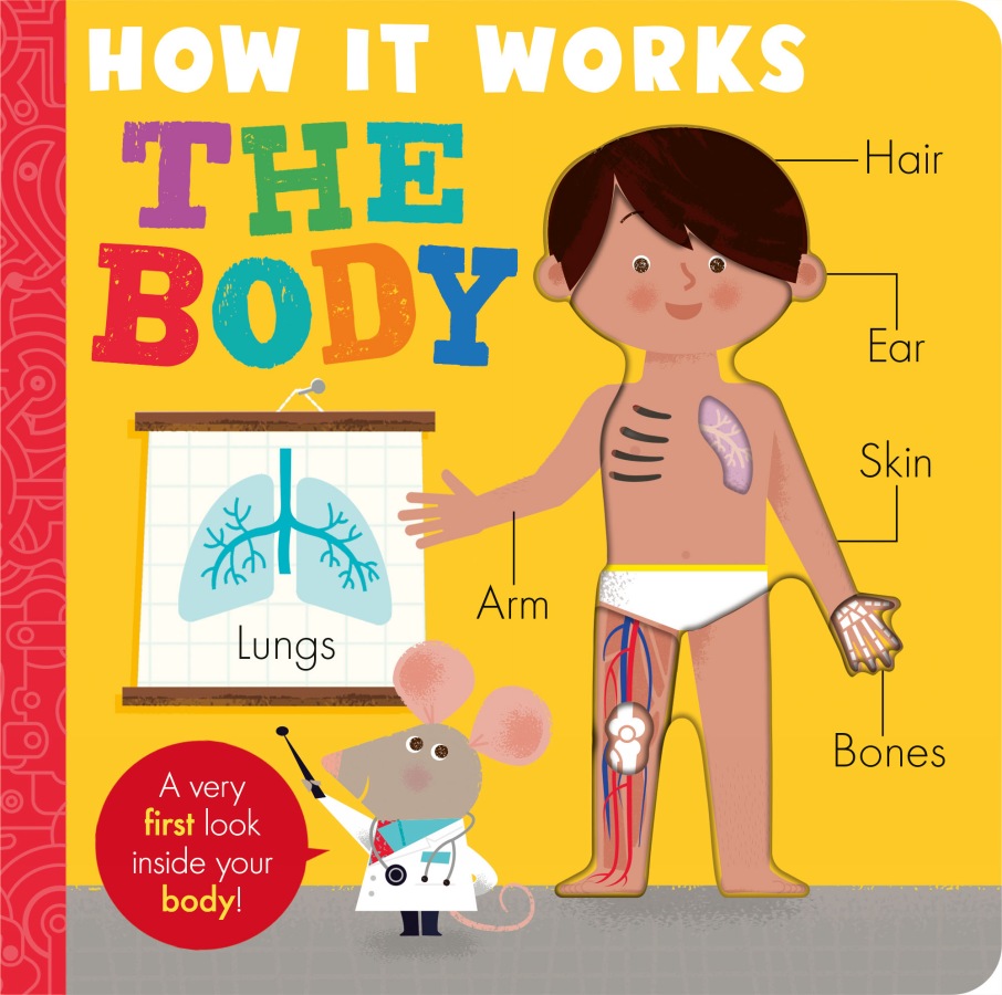 How it Works, The Body by Amelia Hepworth | 9781788819879 | Booktopia