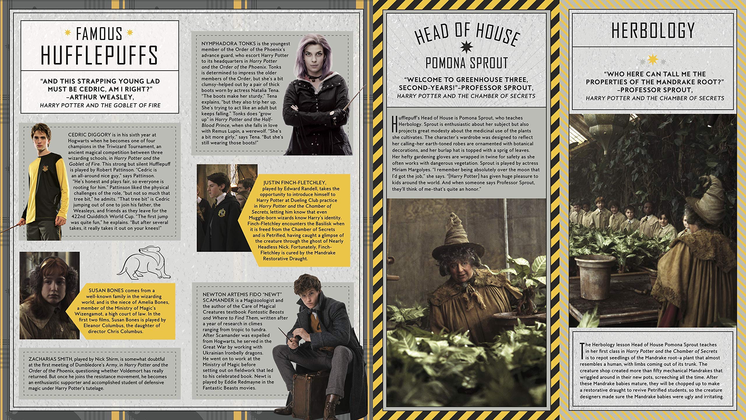 Harry Potter: Hufflepuff Magic, Artifacts from the Wizarding World by ...