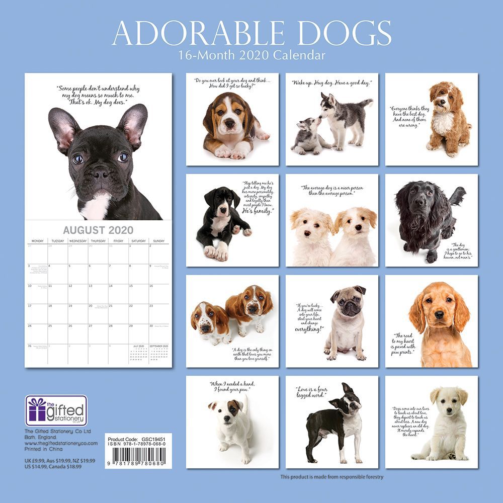 Adorable Dogs - 2020 Wall Calendar, Wall Calendars by The Gifted ...