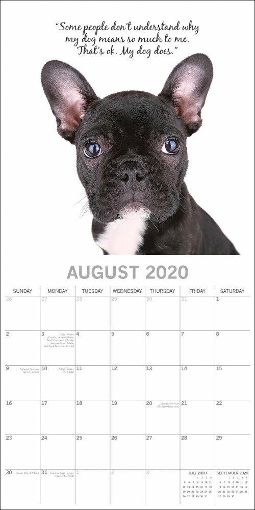 Adorable Dogs - 2020 Wall Calendar, Wall Calendars by The Gifted ...
