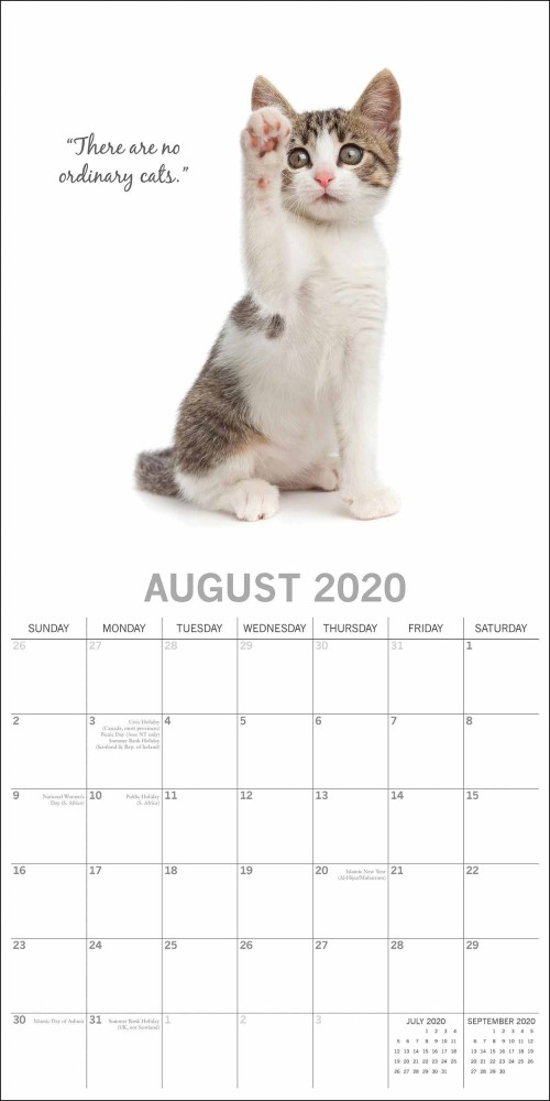 Cute Kittens - 2020 Wall Calendar by The Gifted Stationery Company ...