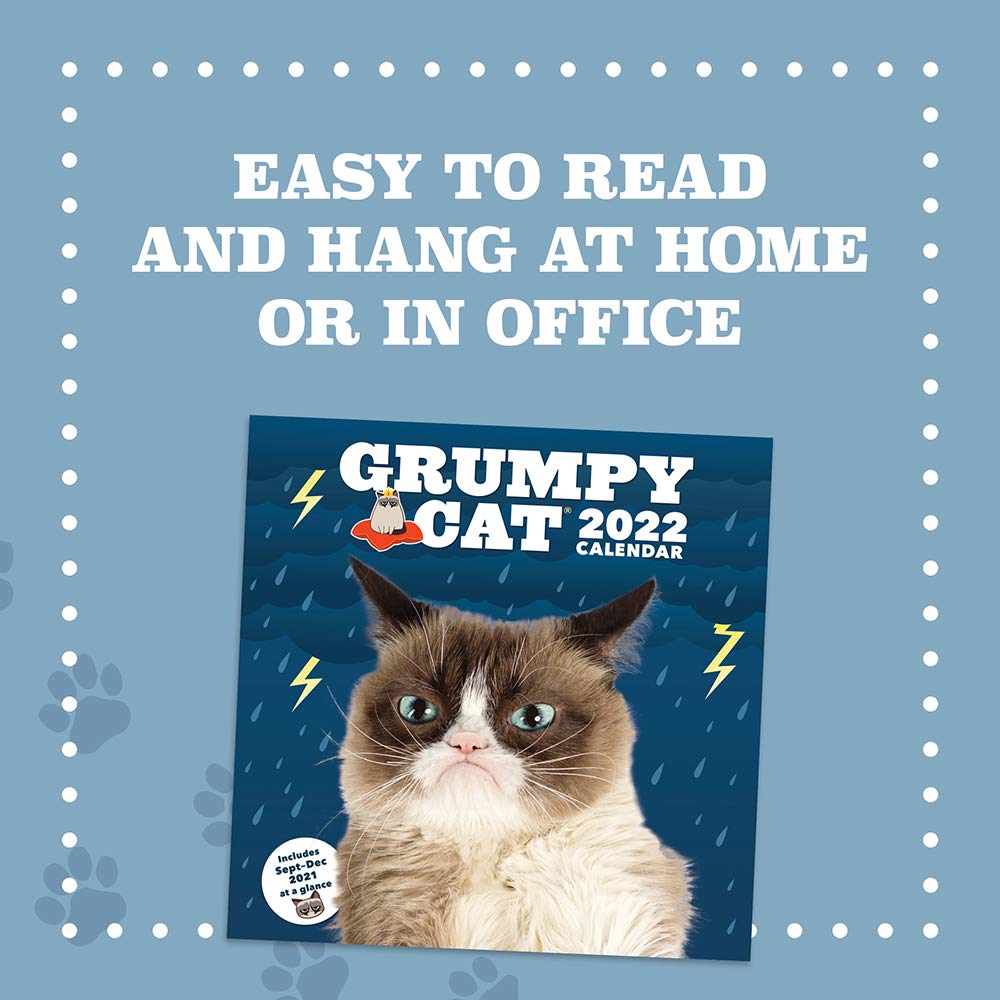 Grumpy Cat - 2022 Wall Calendar by Grumpy Cat | 9781797209715 | Booktopia