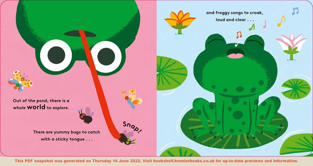 Little Life Cycles, Frog by Maggie Li | 9781800780910 | Booktopia