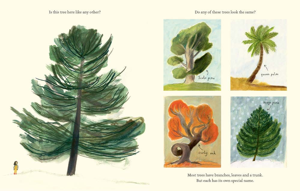 What Do You See When You Look At a Tree? by Emma Carlisle ...