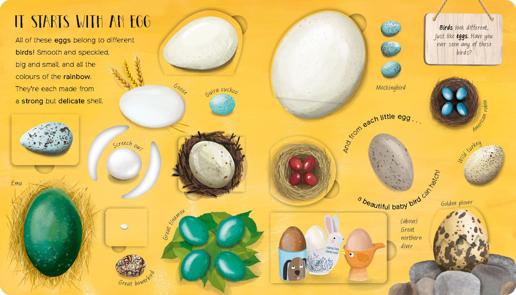 One Little Egg by Becky Davies | 9781801043236 | Booktopia