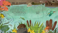 One Little Tadpole by Molly Littleboy | 9781801044349 | Booktopia